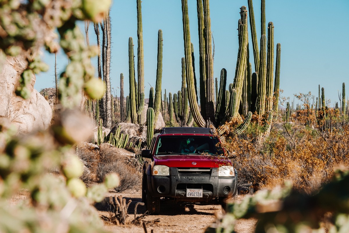 10 Things You Need To Know Before A Baja Road Trip – Vitamin Sea See Sí